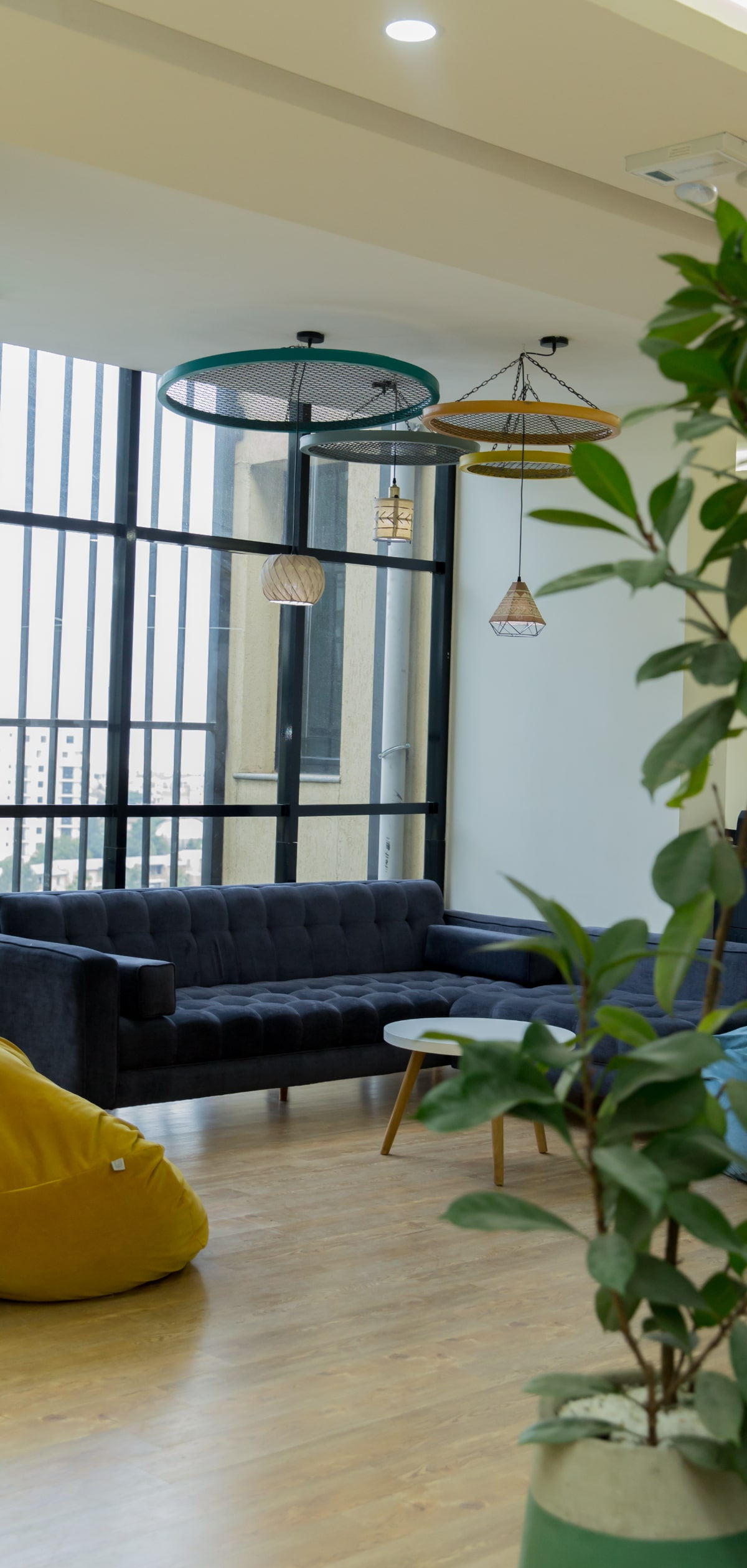 Canal + | Bold Designs